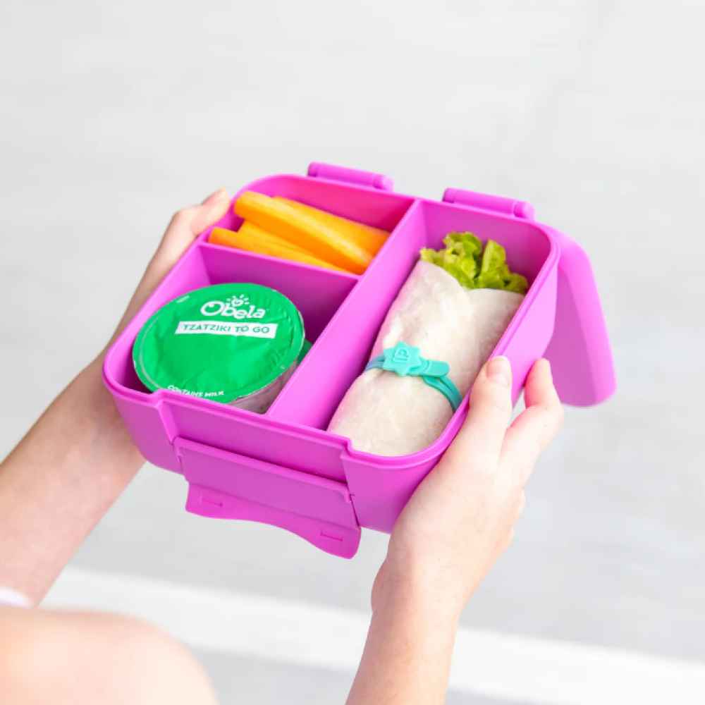 Montiico Bite Bento Lunch Box - Rockabeez Gifts and Toys| Rockabeez ...